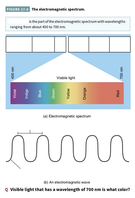 Figure 17 4 Diagram Quizlet