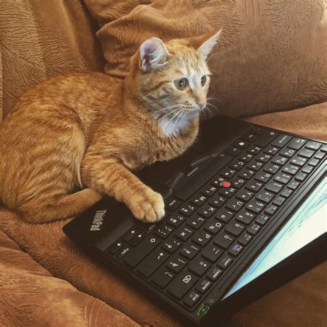 What Thinkpad Model On Photo Find This In Internet R Thinkpad