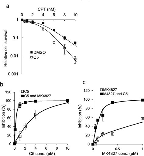 Figure 7 From A Selective Small Molecule Dna2 Inhibitor For