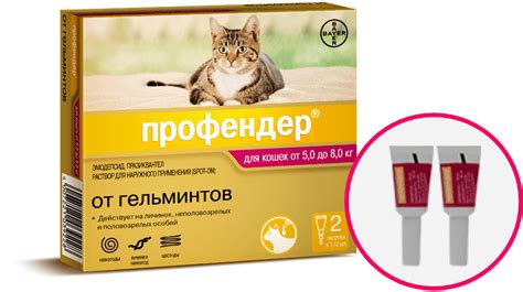 Профендер для кошек: инструкция по применению, отзывы, аналоги