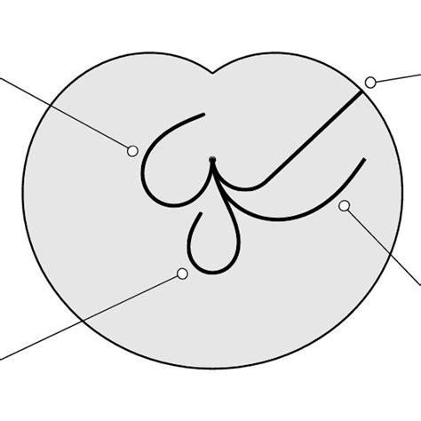 Solutions Of The Stationary Optimal Control Problem For Different