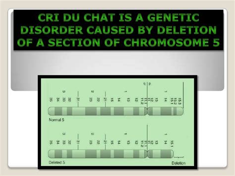 Cri Du Chat Syndrome