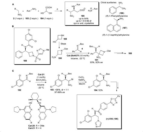 Stereoselective Syntheses Of A β Nitro α Amino Carboxylic Acid 185