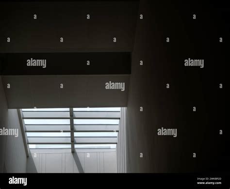 Ant Eyes View Of Ceiling Window Glass Roof Decorating The Modern