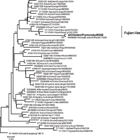 Phylogenetic Tree Constructed Using Nj Method On The Basis Of Sequences