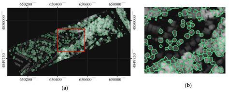 Sensors Free Full Text Individual Tree Crown Delineation Using