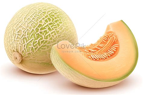 달콤한 멜론 일러스트 무료 다운로드 Lovepik