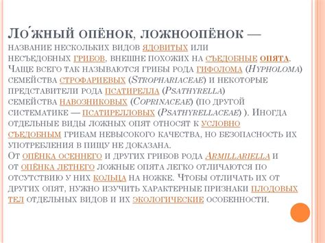 Грибы презентация онлайн