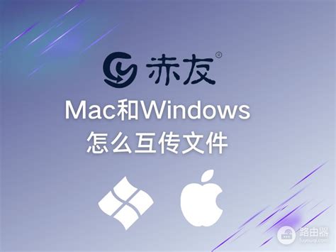 Mac Windows Mac Windows
