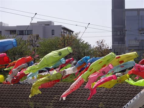大正川の鯉のぼり エッグ住まいる工房