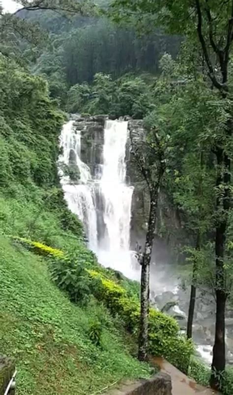 නුවර සිංහල දෙමළ මුස්ලිම් එකමුතුව Facebook