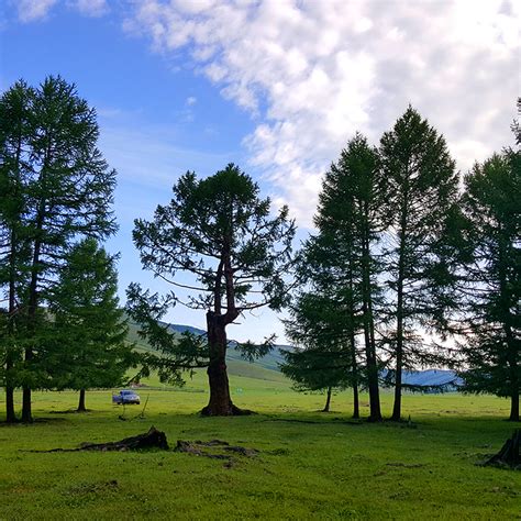 몽골 별밤투어 테를지 울란바토르 4박5일 Gktour