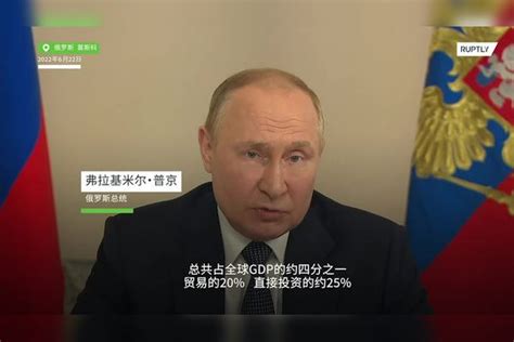 普京称金砖国家在讨论建立国际储备货币金砖国家国际储备普京