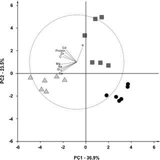 Score Plot Of The First Two Components Of The Principal Components