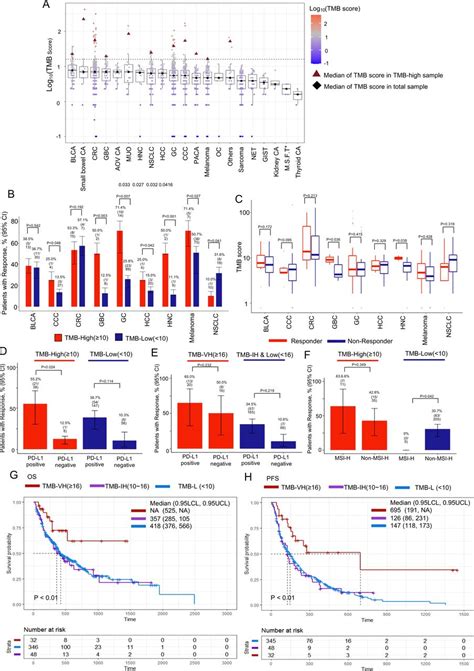 High Tumor Mutational Burden Predicts Favorable Response To Anti Pd L