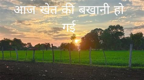 आज खेत की बाखनी हो गईdkvlogs2324 Youtube