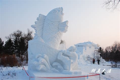 雪雕鱼图片大全 雪雕鱼 雪雕草图 大山谷图库