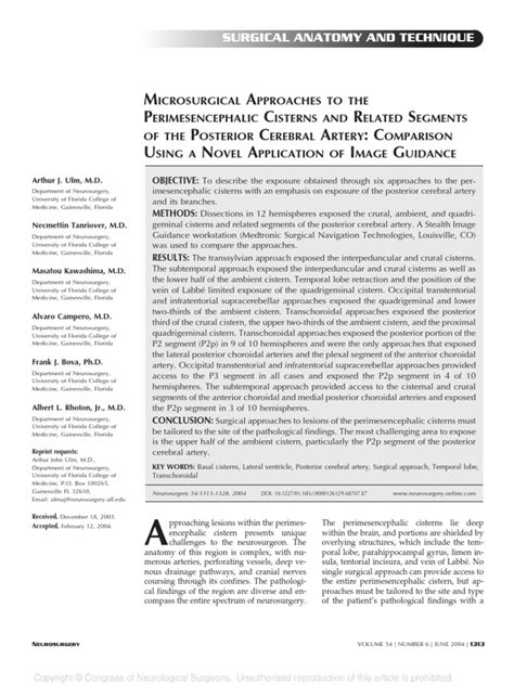 Rhoton Perimesencephalic Cistern And Pca Pdf Insular Cortex Anatomical Terms Of Location