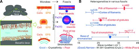 Heterogeneous Crystallinity Within Microstructures Of Different Download Scientific Diagram