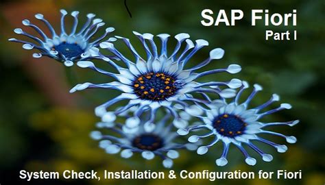 Sap Fiori Tutorial Part I System Check Installation And Configuration Erp Qanda