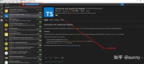 Vscode中typescript语法不校验不报错的问题 知乎