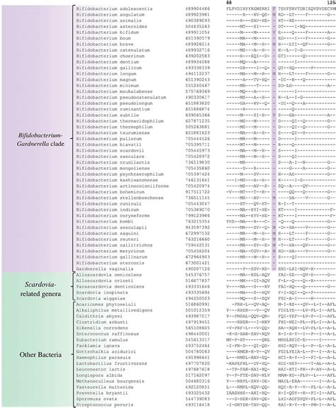 Partial Sequence Alignment Of DNA Polymerase IV Showing A Aa Download Scientific Diagram
