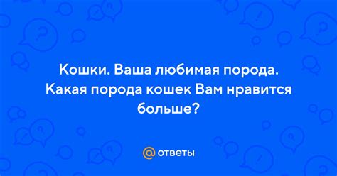 Ответы Mail Кошки Ваша любимая порода Какая порода кошек Вам