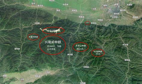 科普向：秦岭大熊猫主要栖息地，保护区及生态廊道介绍 哔哩哔哩