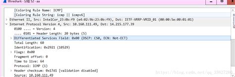 wireshark捕获ipv6包并分析首部ipv4的区别 抓包ipv6 csdn博客