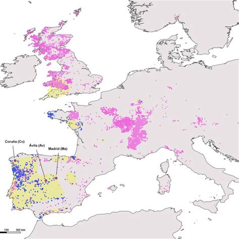 Phylogeny Of Asplenium Based On Cpdna Sequences Showing The Highly Download Scientific Diagram