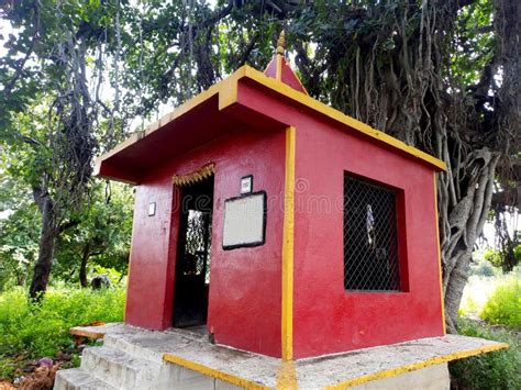 The Temple Under The Banyan Tree In The Countryside Stock Image Image