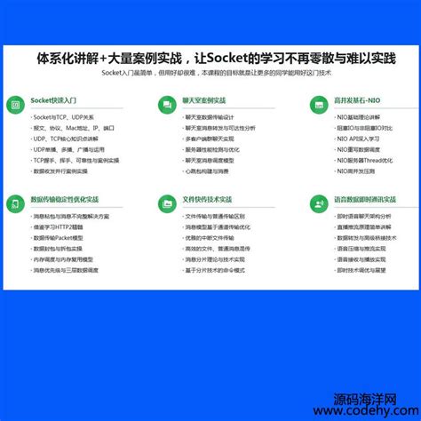 2541 Java Socket网络编程进阶与实战 124g 源码海洋网