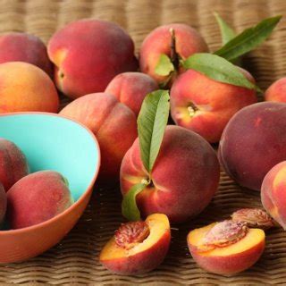 Peach Vs Plum What Is The Difference