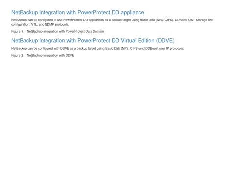 Integrating Powerprotect Dd With Netbackup Dell Powerprotect Data Domain With Veritas