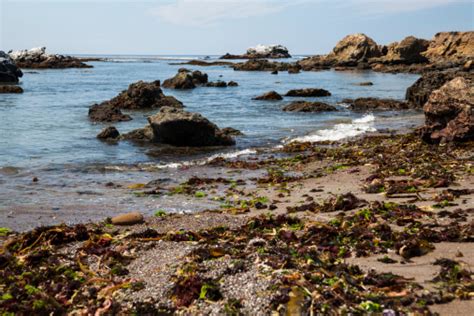 해변이 내려다 보이는 절벽 Big Sur 캘리포니아 0명에 대한 스톡 사진 및 기타 이미지 0명 경관 공원 Istock