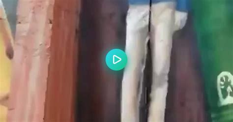 Einstein Laughs At Flat Earthers Album On Imgur