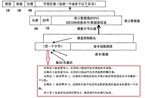 Dicom通信 Pdu数据包2dicom Pdu Csdn博客
