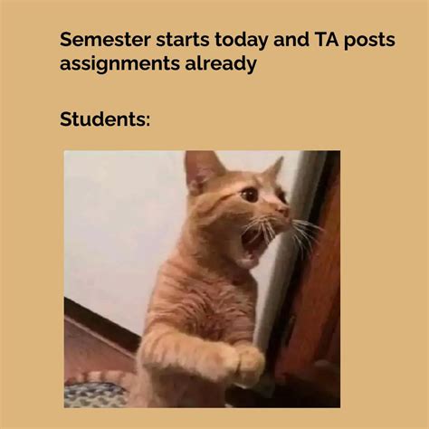 Lots Of Assignments When The Semester Just Started R School Memes