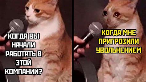 Смешные мемы про работу подборка 20 прикольных и жизненных мемов о рабочих буднях с картинками