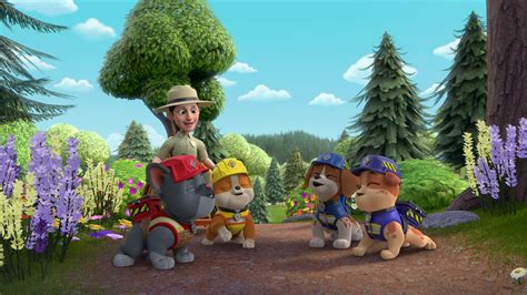 The Crew Builds A Wildlife Bridgequotes Paw Patrol Wiki Fandom