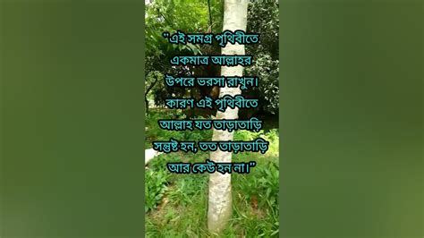 এই সমগ্র পৃথিবীতে একমাত্র আল্লাহর উপর ভরসা রাখুন।shorts Islamic