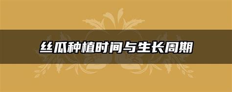 丝瓜种植时间与生长周期 蓝妖花园