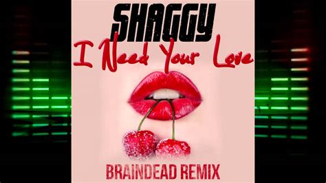 Shaggy Feat Mohombi Faydee Costi I Need Your Love BrainDeaD Remix