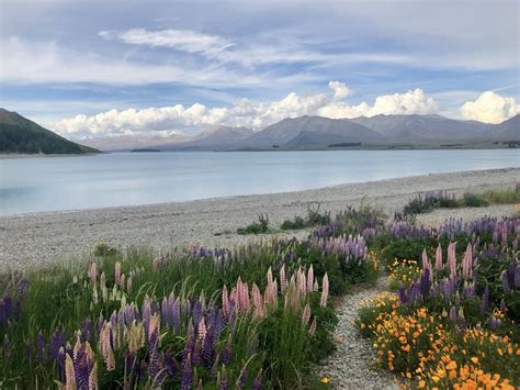 Jongjaid Ddd · Github