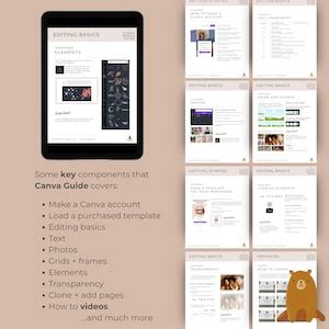 Canva Basics Guide How To Use Canva Getting Started With Canva Canva How To Guide For