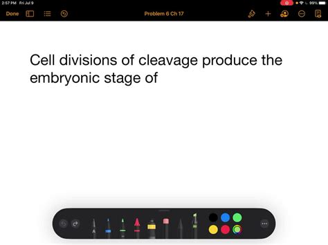 Solvedin A Human Zygote The Cell Divisions Of Cleavage Produce An