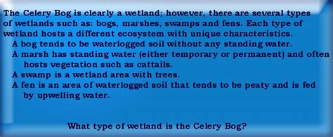 Celery Bog Location Map