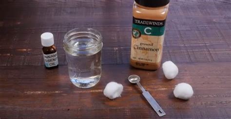 10 Powerful Home Remedies For Getting Rid Of Ants