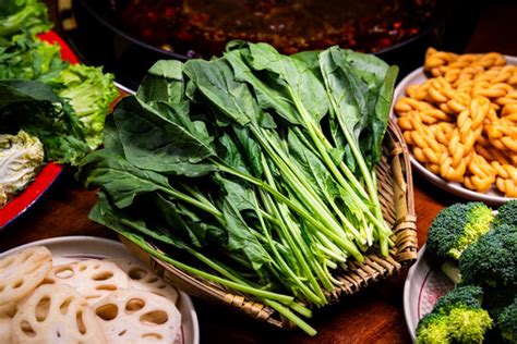 涮菜菠菜图片素材 涮菜菠菜设计素材 涮菜菠菜摄影作品 涮菜菠菜源文件下载 涮菜菠菜图片素材下载 涮菜菠菜背景素材 涮菜菠菜模板下载 搜索中心