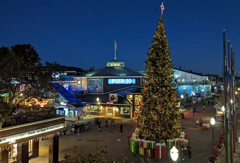 Christmas Attractions In San Francisco 60 Photos
